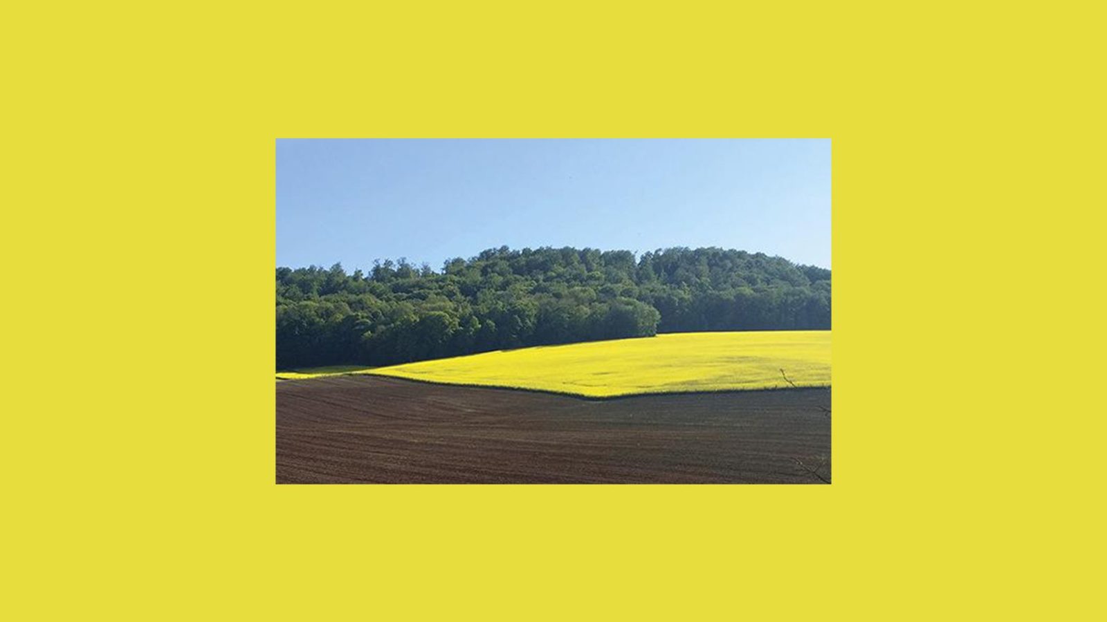 Les Abattoirs | Afiac - "Regarder l’agreste paysage"